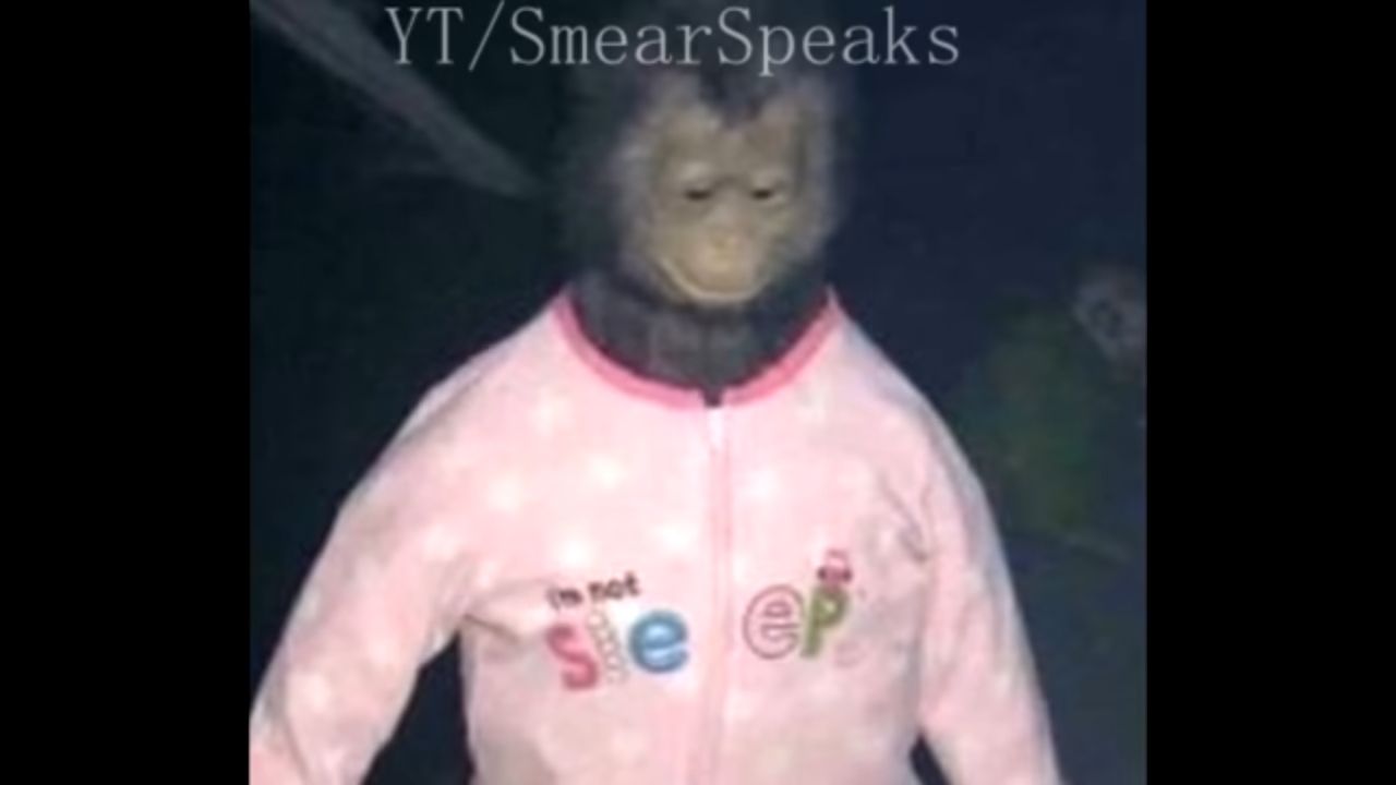 Sleepy monkey boi | Scrolller