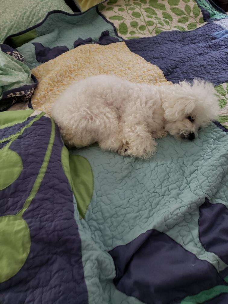 Sleepy sleepy | Scrolller