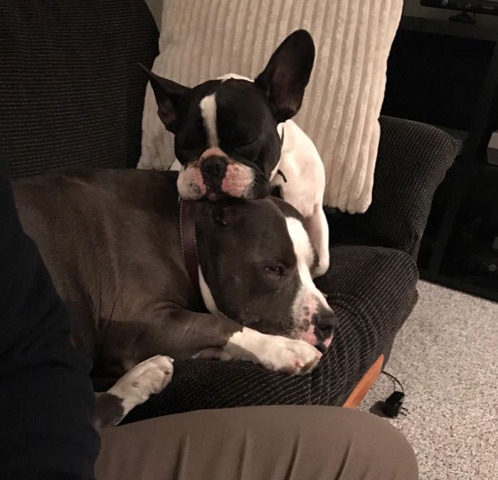 Sleepy stack b o y e s | Scrolller