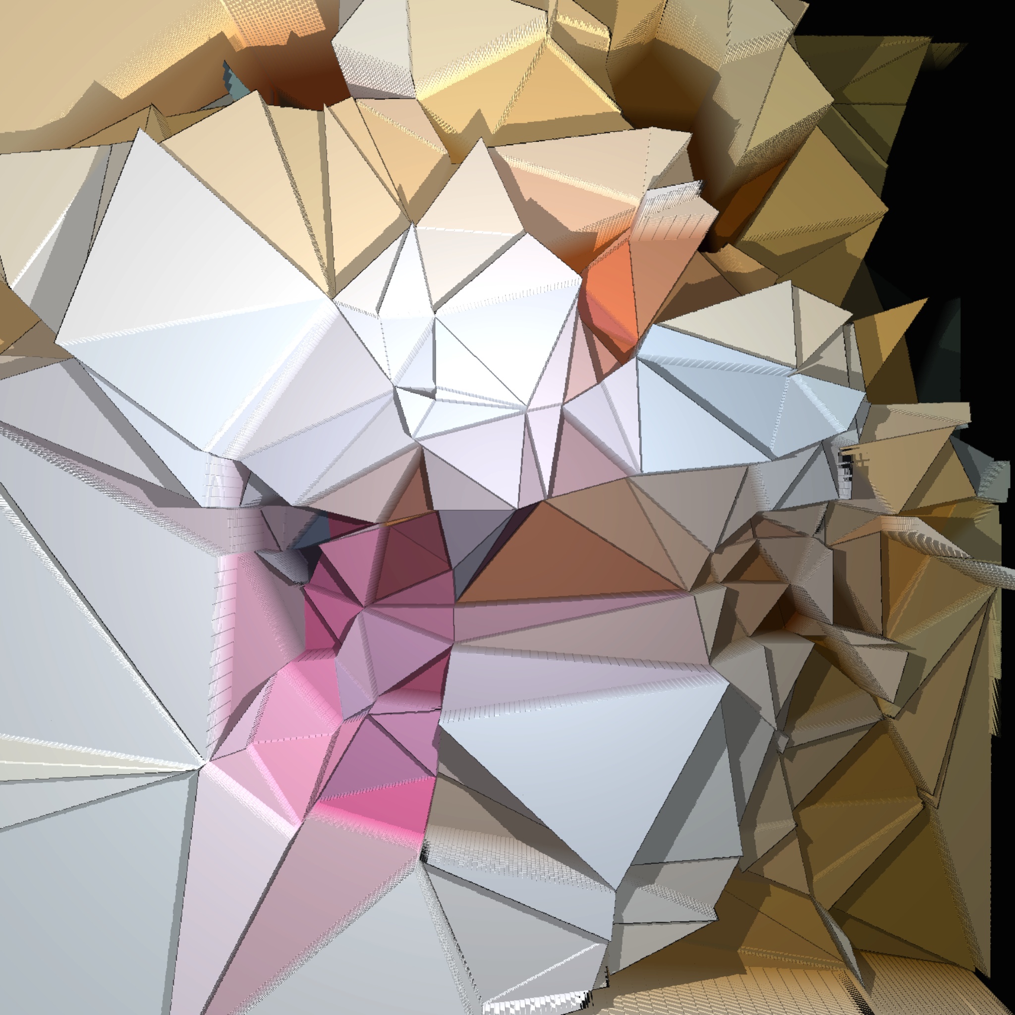 Sliced Cat (2019) | Scrolller