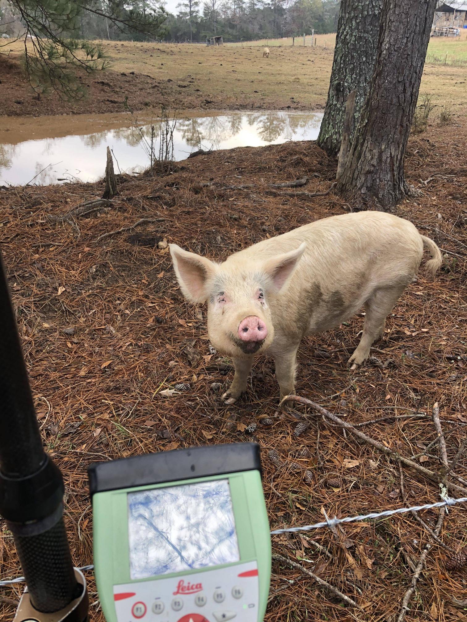 Sloppy work. | Scrolller