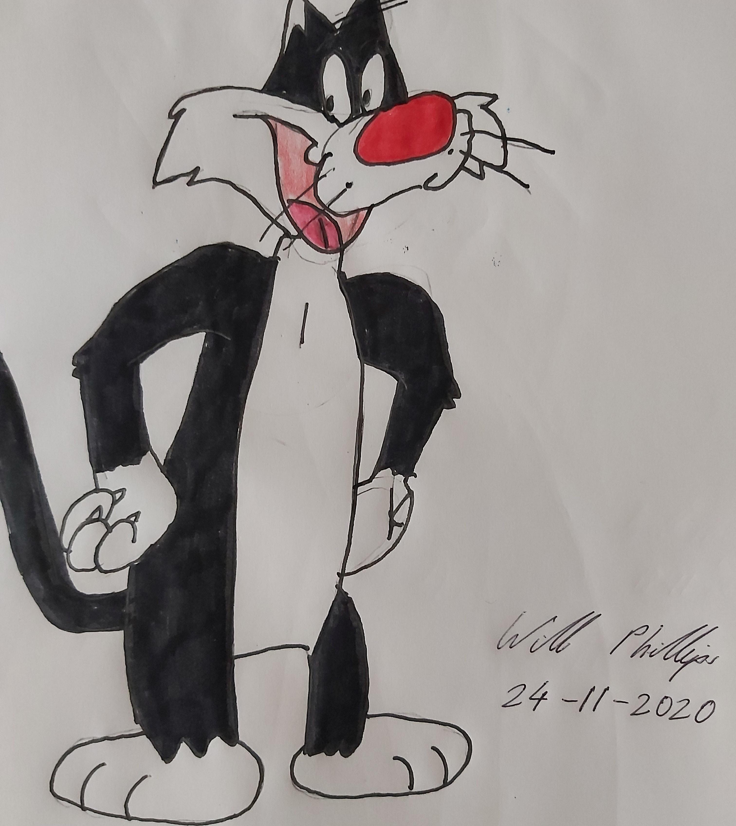 Slyvester drawing | Scrolller