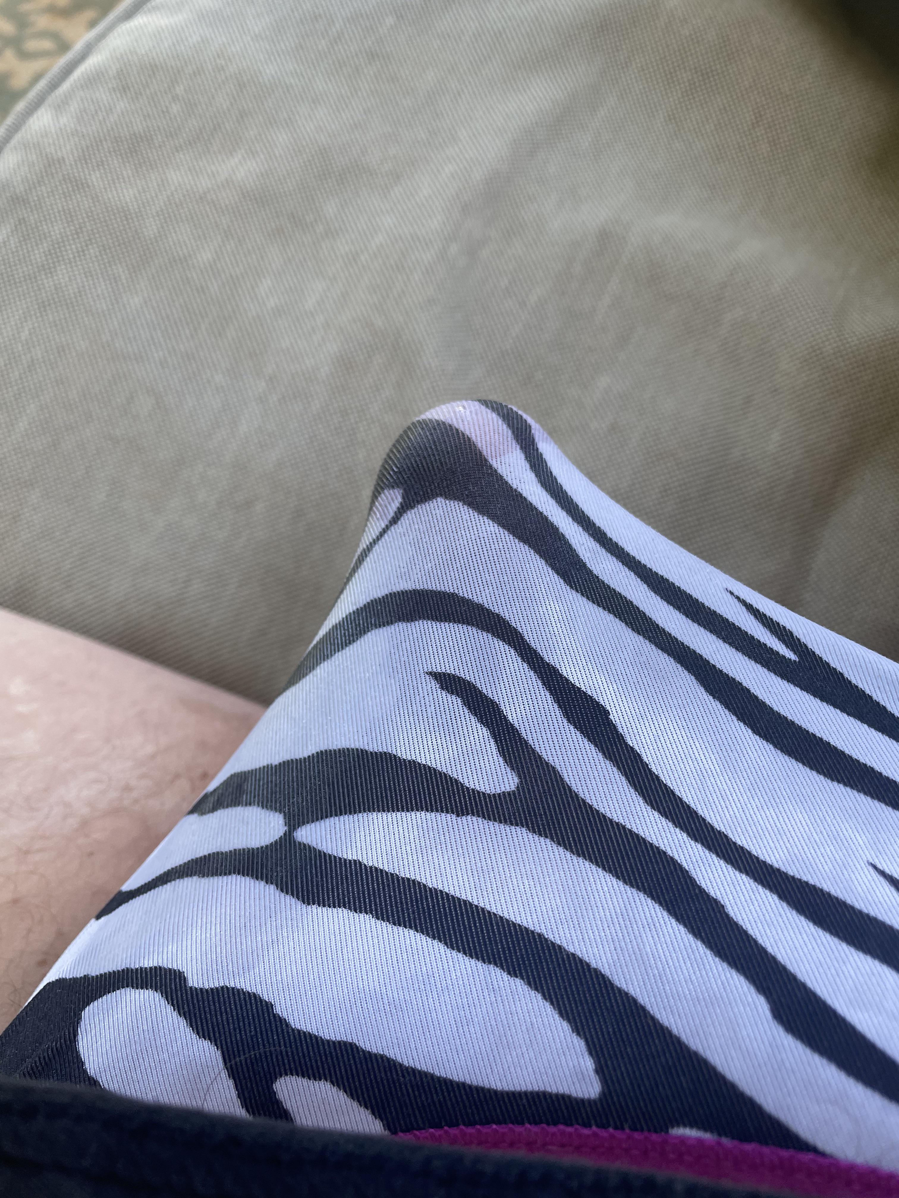 Small but a bulge | Scrolller