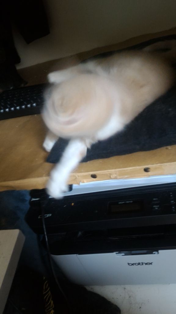 Small caliber drill | Scrolller