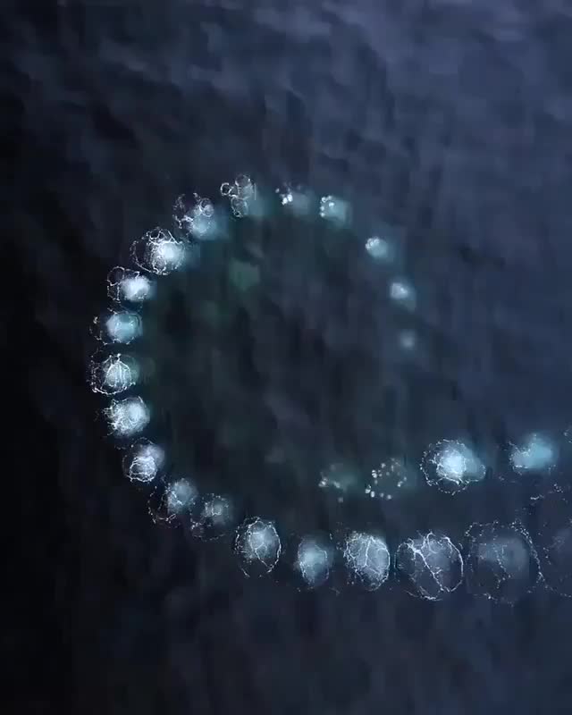 Smart and hungry | Scrolller