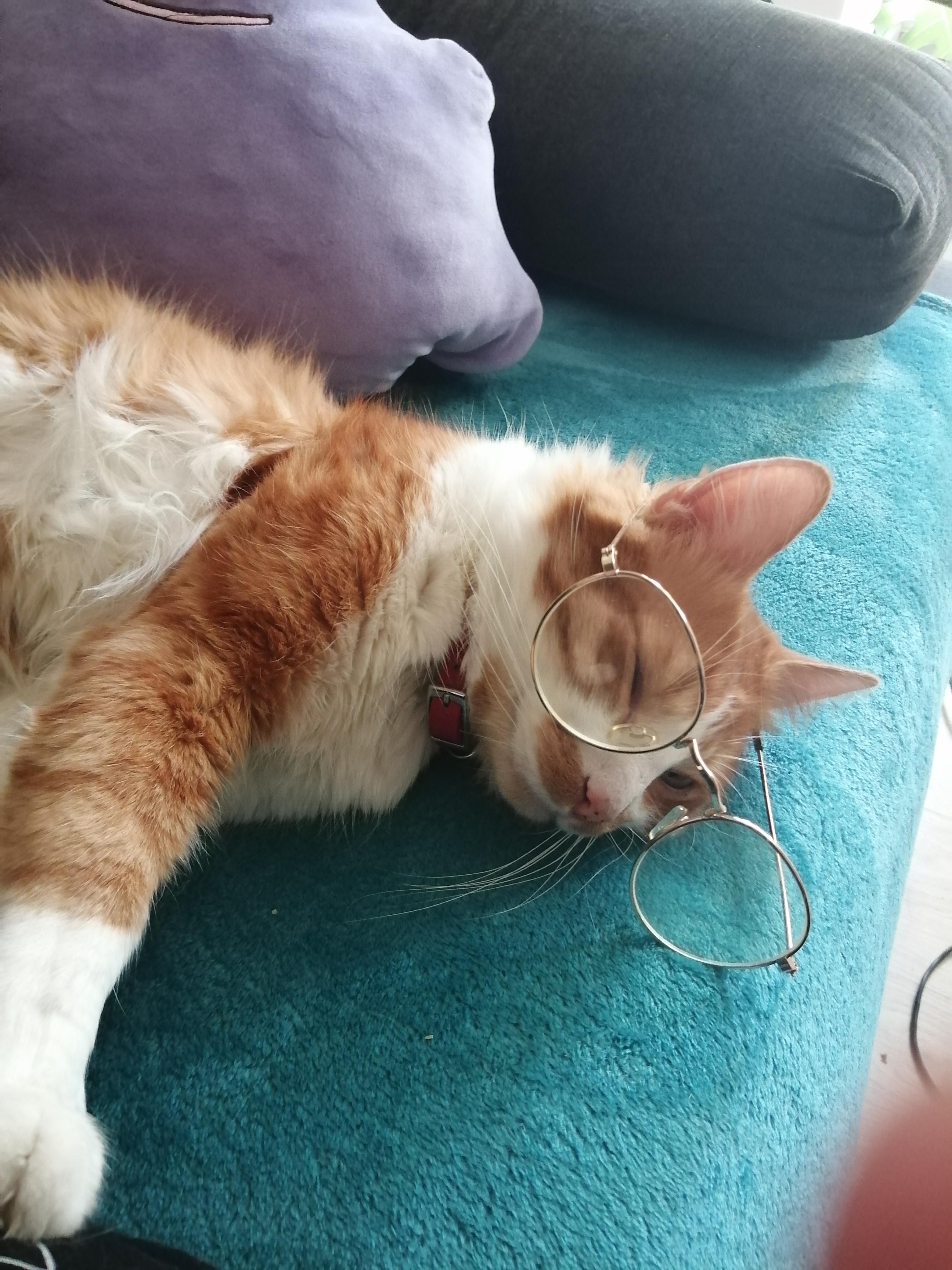 Smart boy | Scrolller