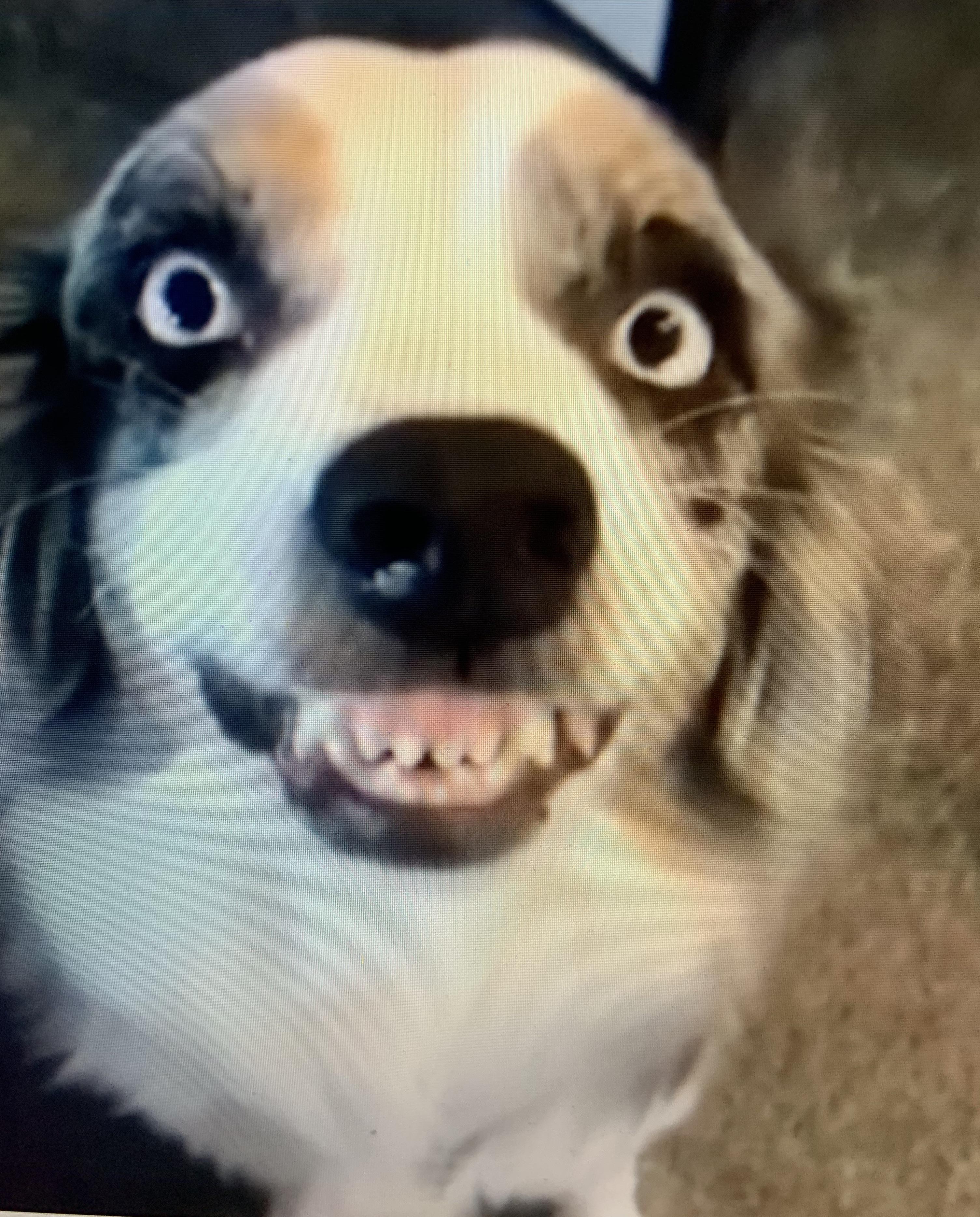 Smile please | Scrolller