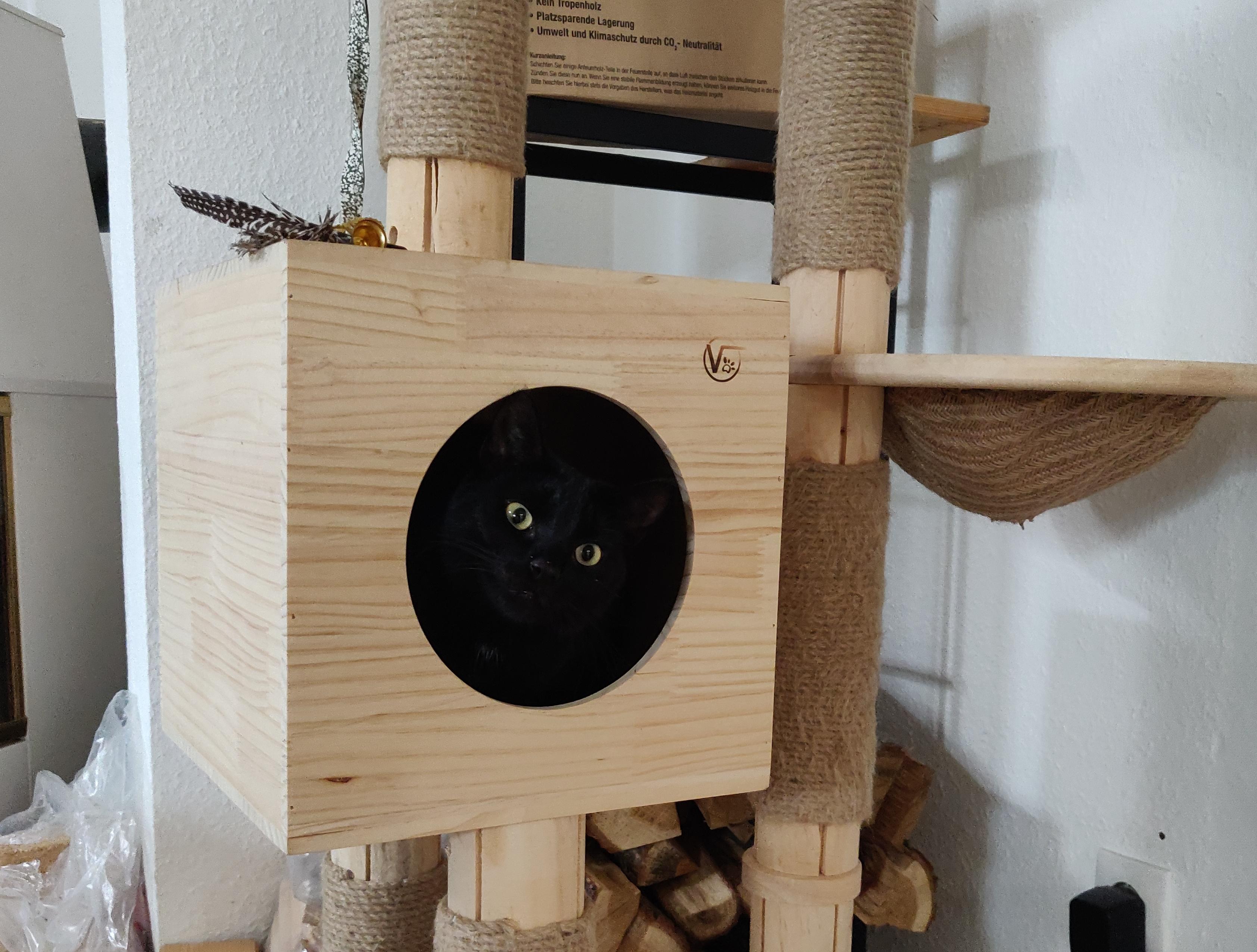 Smol void in a box | Scrolller