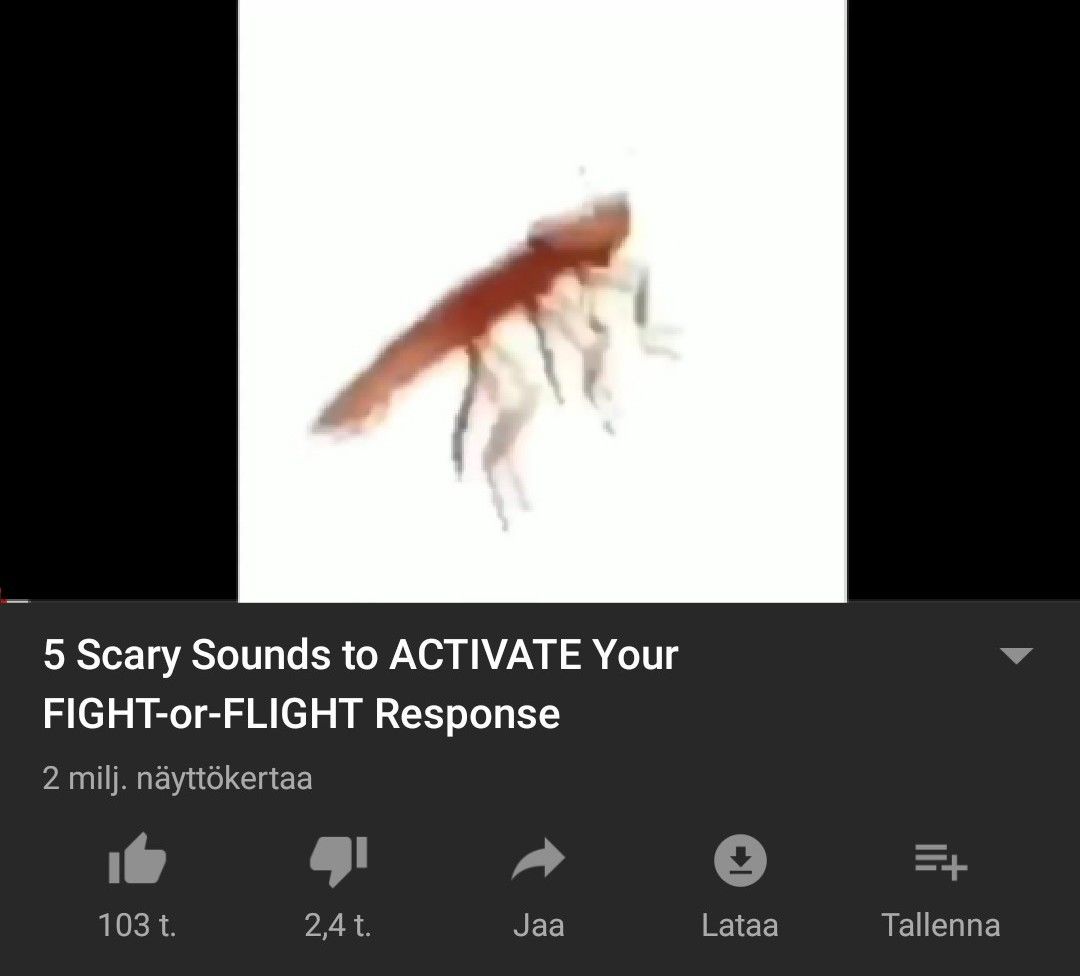 Smooby fight or flight | Scrolller
