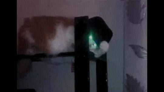 Smooth operator | Scrolller