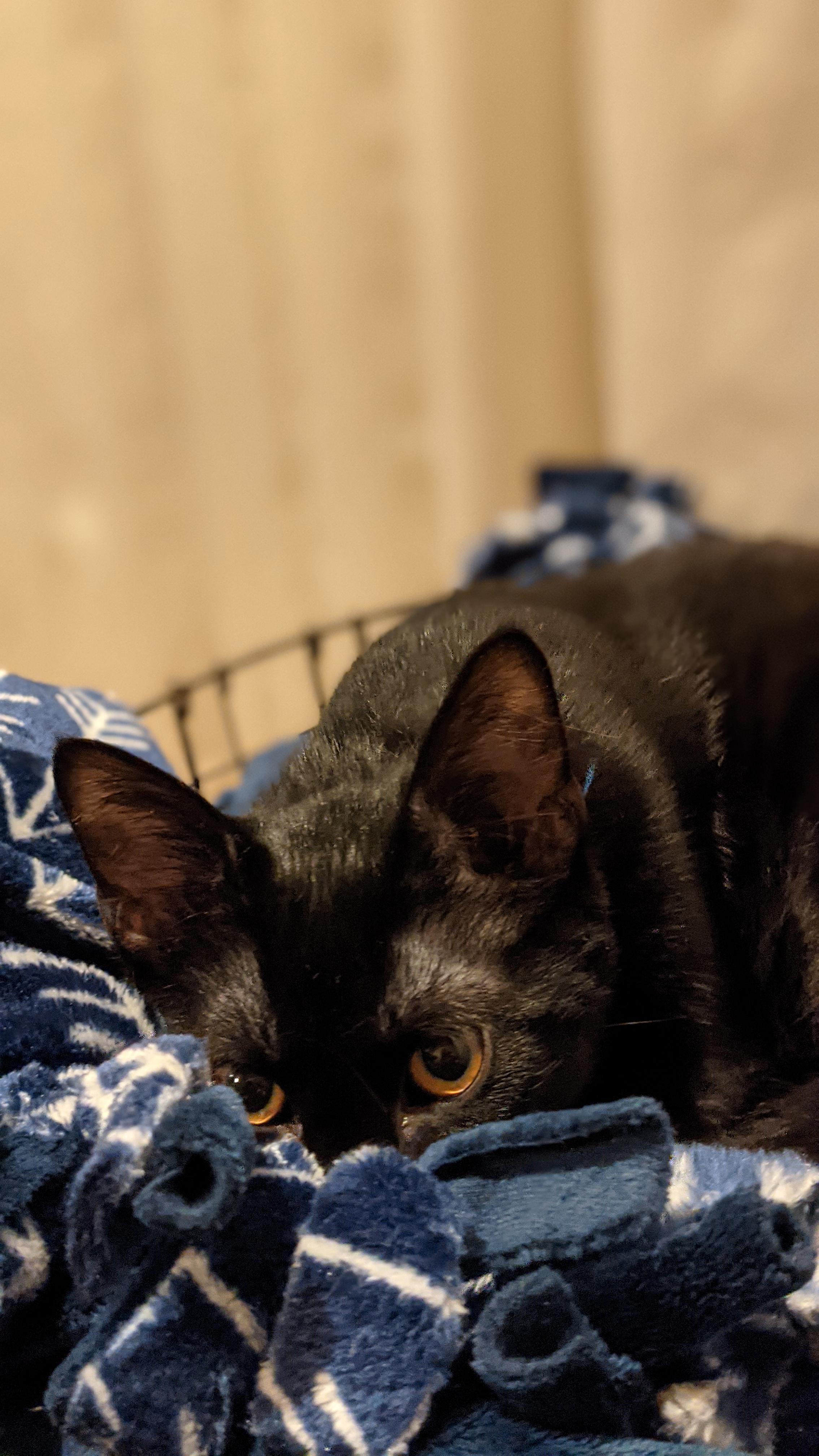 Sneak level 100. | Scrolller