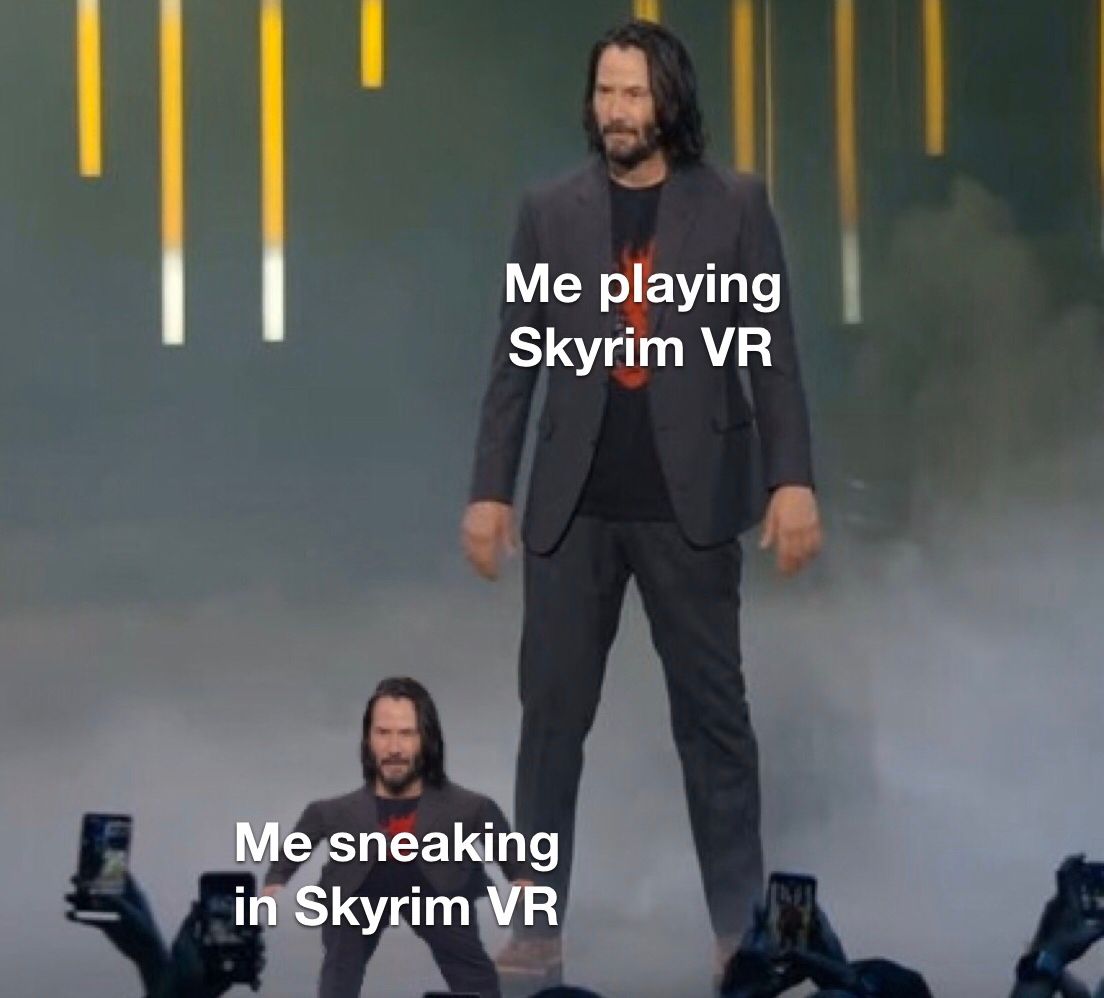 Sneaking in Skyrim VR | Scrolller