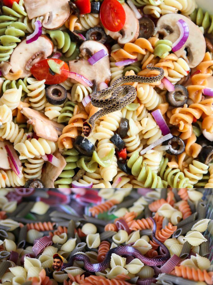 Sneaky Pasta Snake 🐍 | Scrolller