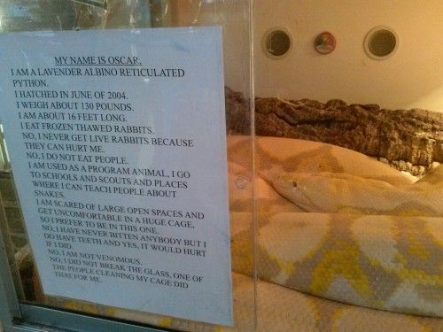 Snek irl | Scrolller