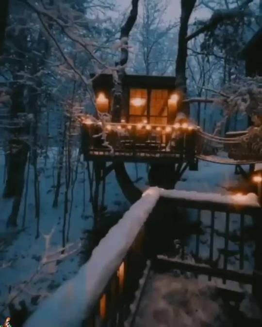 Snow covered tree house | Scrolller