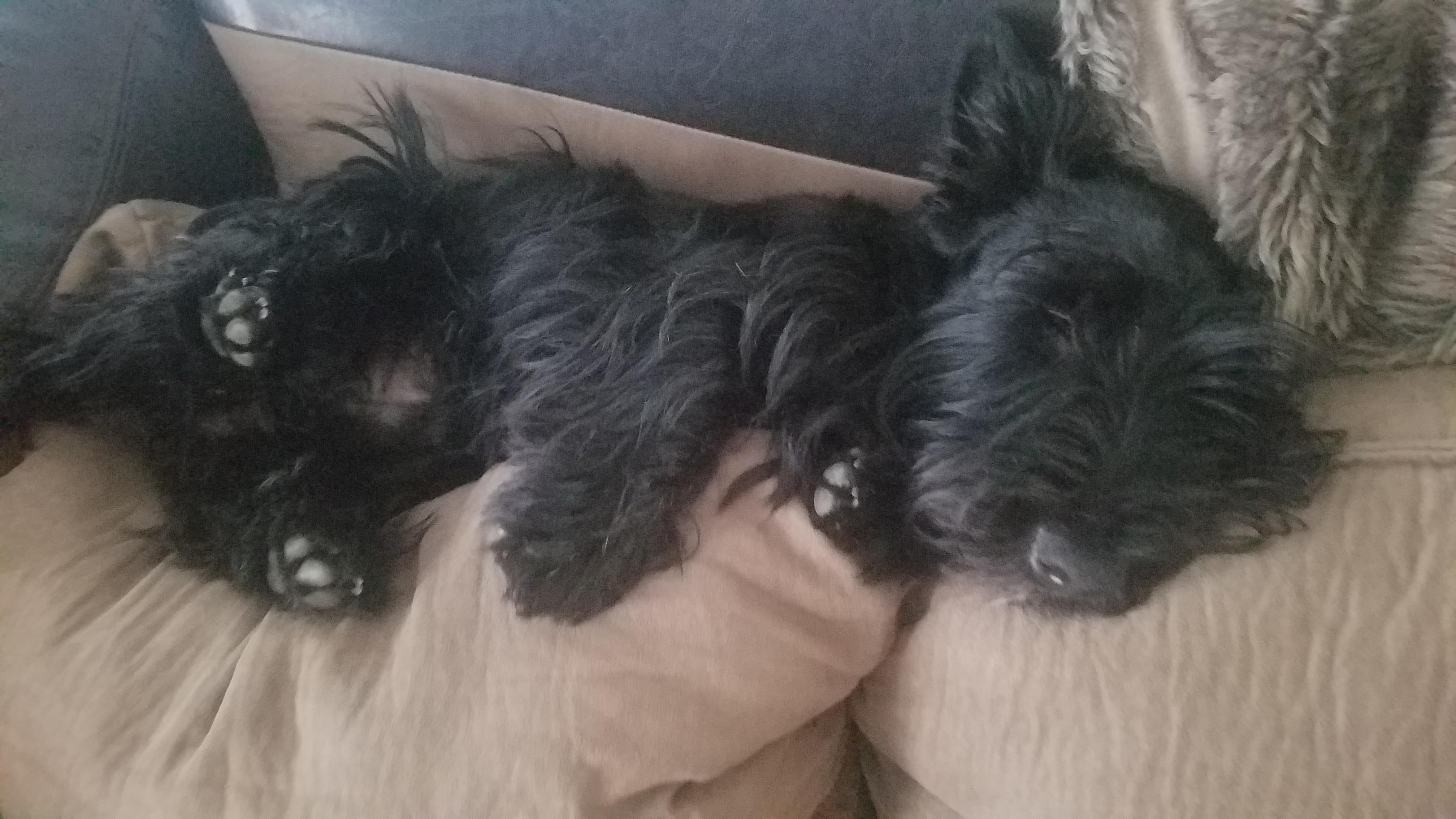 So many beans! | Scrolller