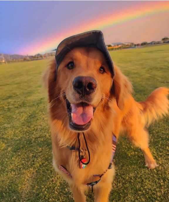 Jeannie this is ur sign of Henry's going to show r\Awww | Scrolller