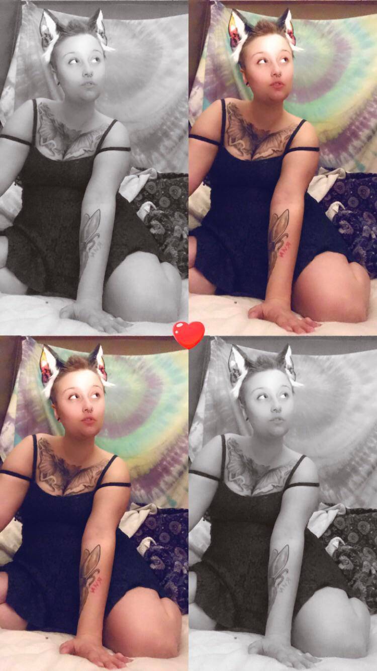 Soft doggo vibes | Scrolller