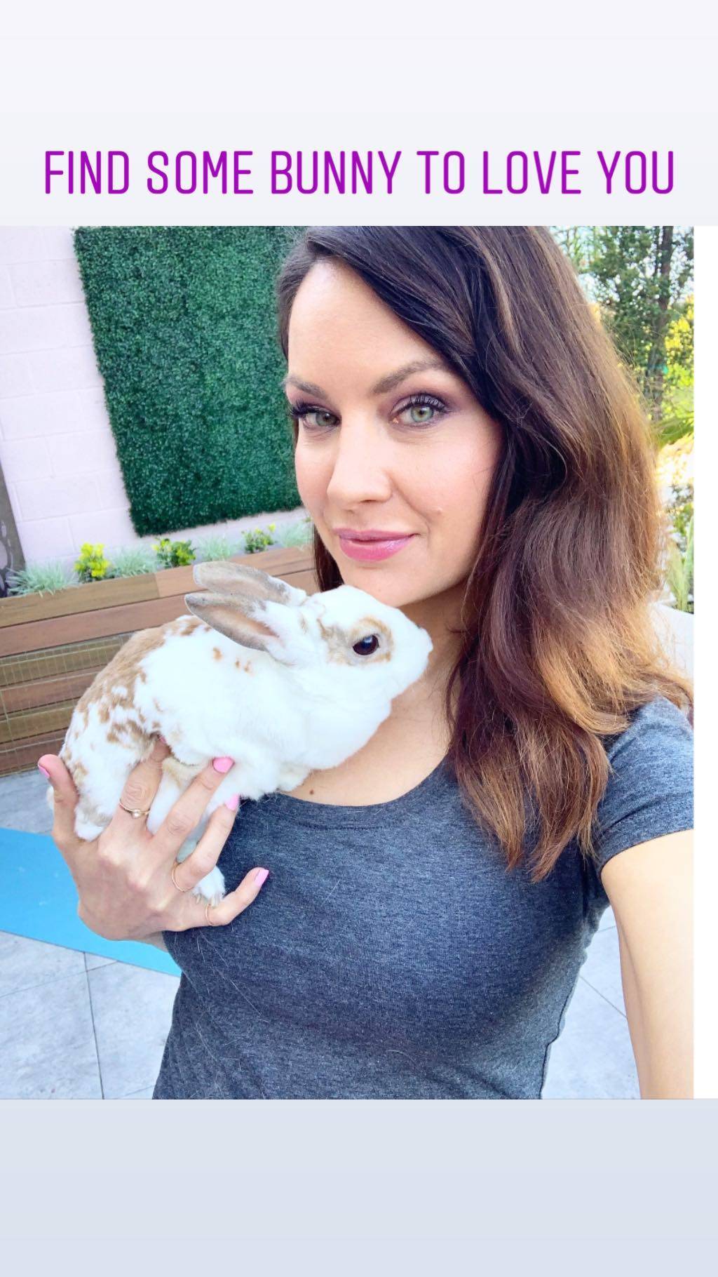 Some Bunny To Love | Scrolller