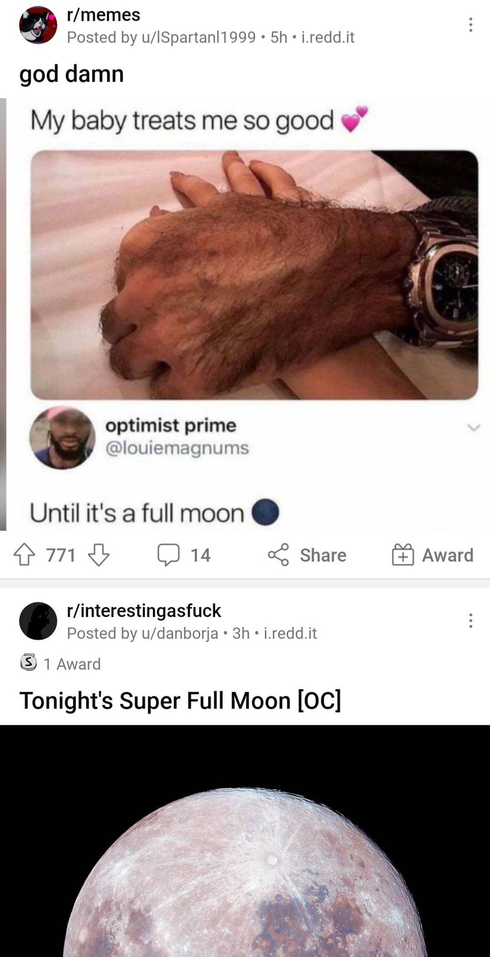 Some memes make themselves. | Scrolller