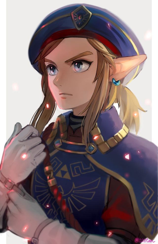 Some Royal Guard Link [botw] | Scrolller