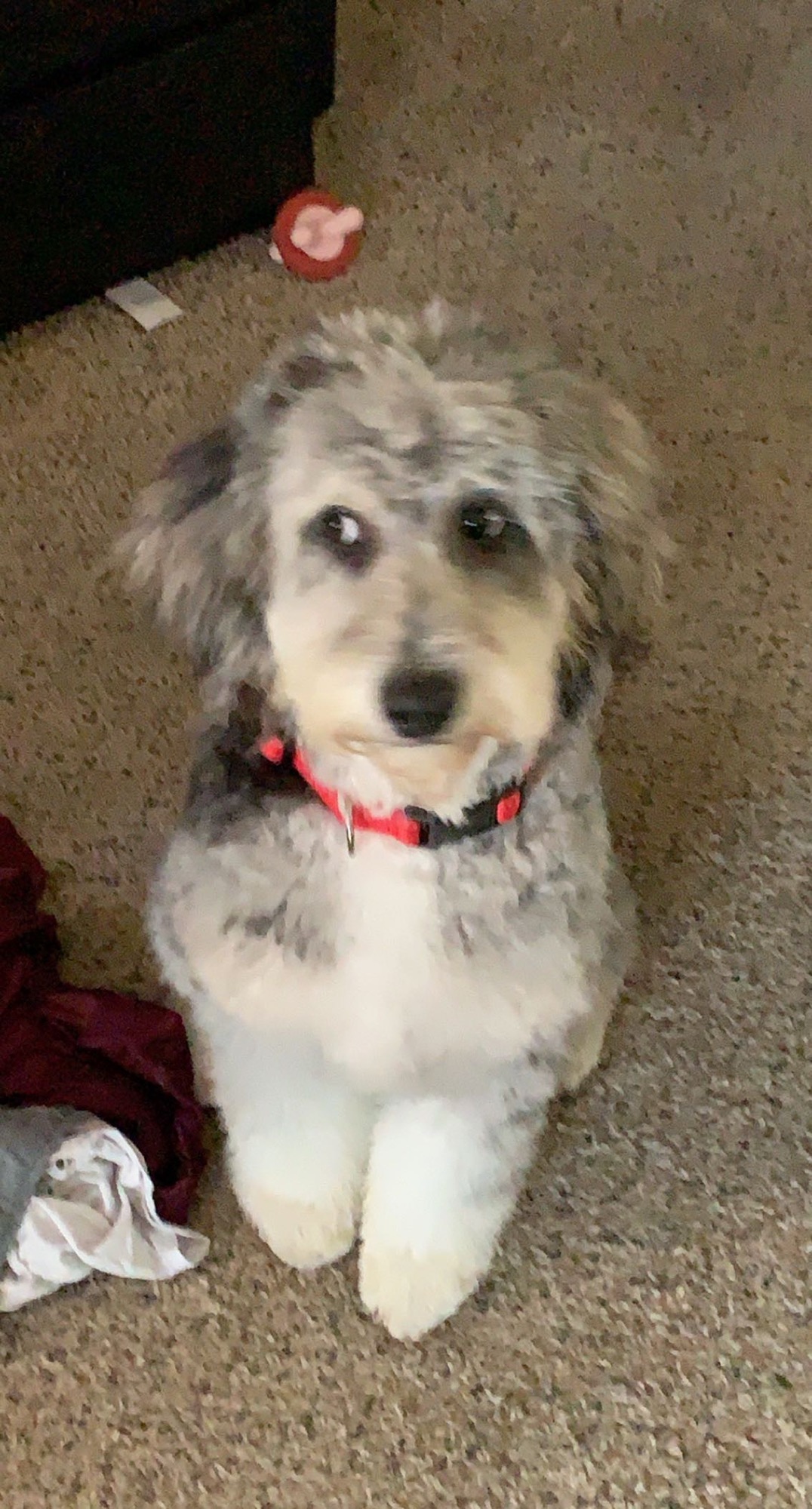 Somebody got caught | Scrolller