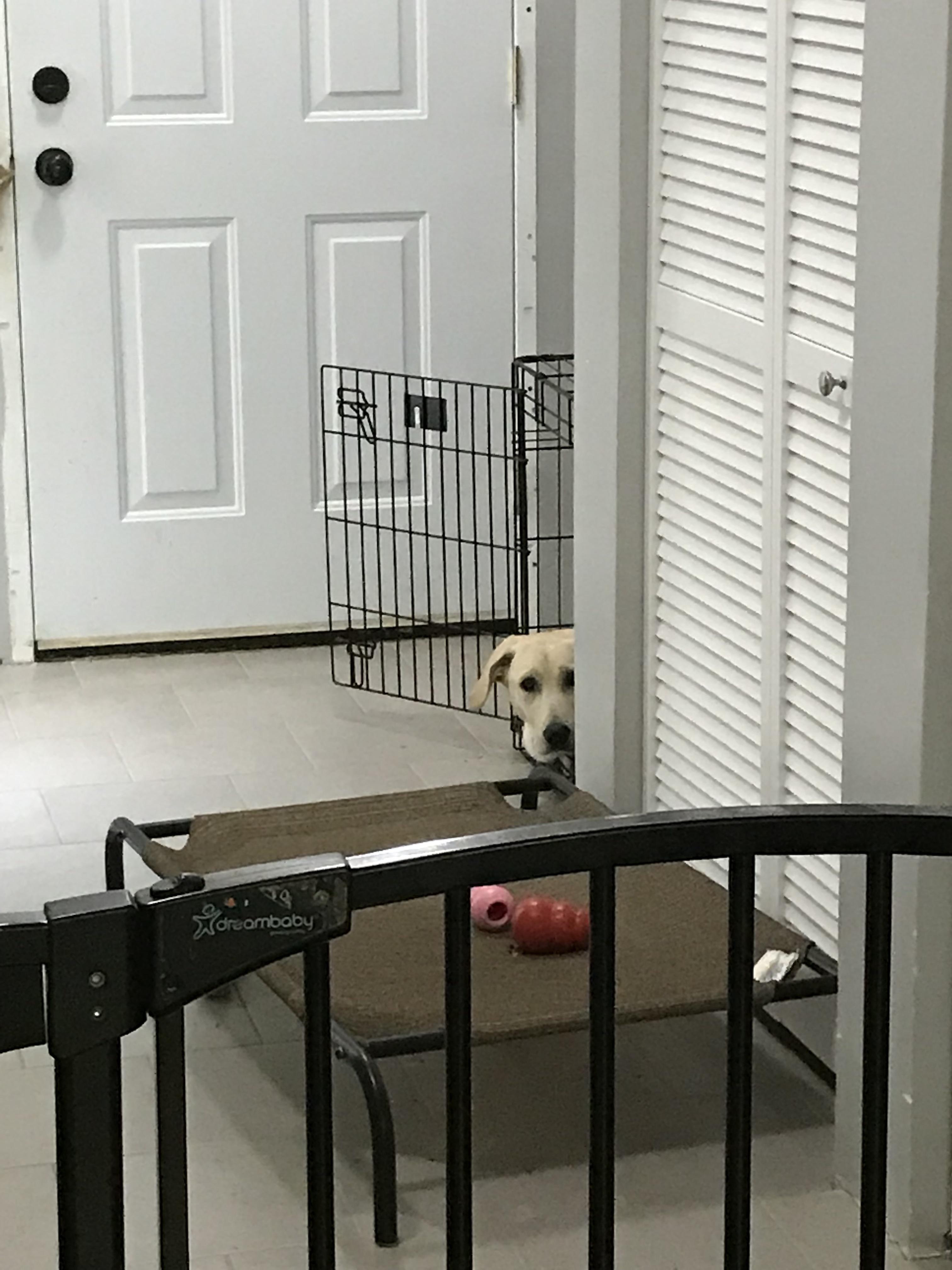 Someone knows I’m looking through the fridge | Scrolller