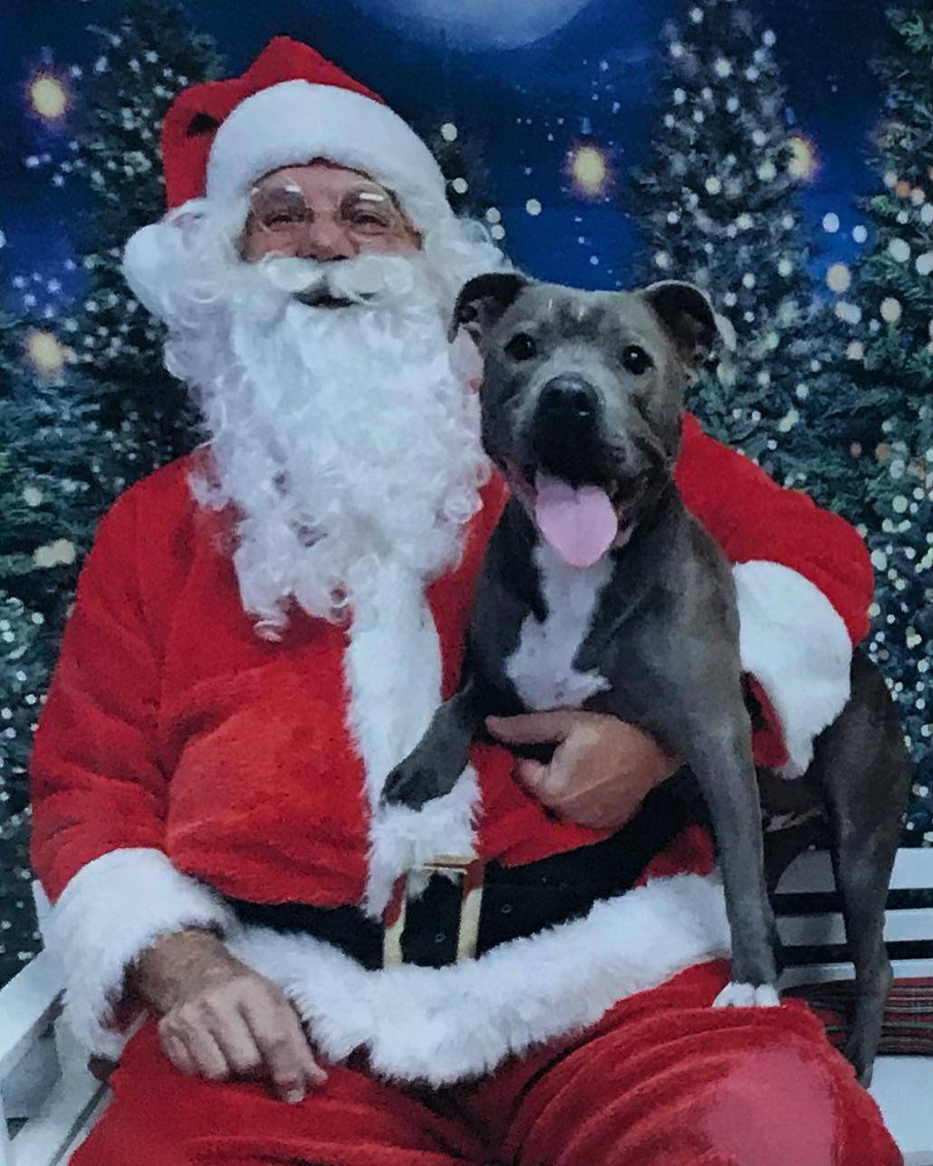 Someone met Santa!!! | Scrolller