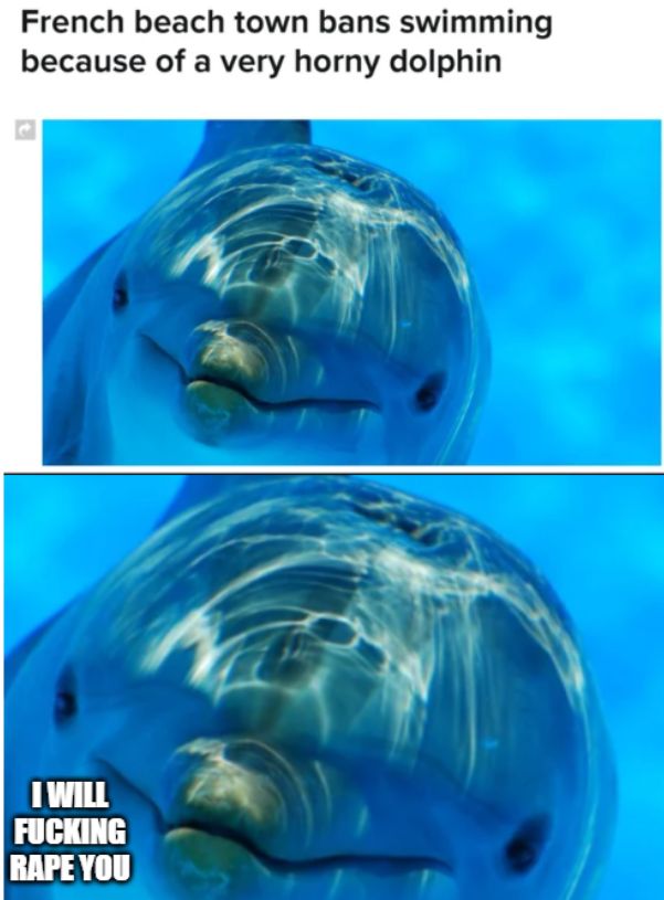 something | Scrolller