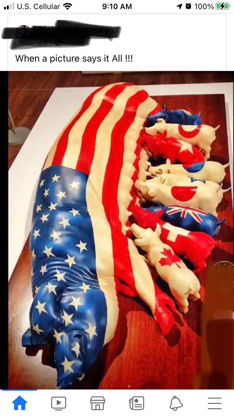 Something my grandfather shared unironically. 🤦‍♂️ | Scrolller