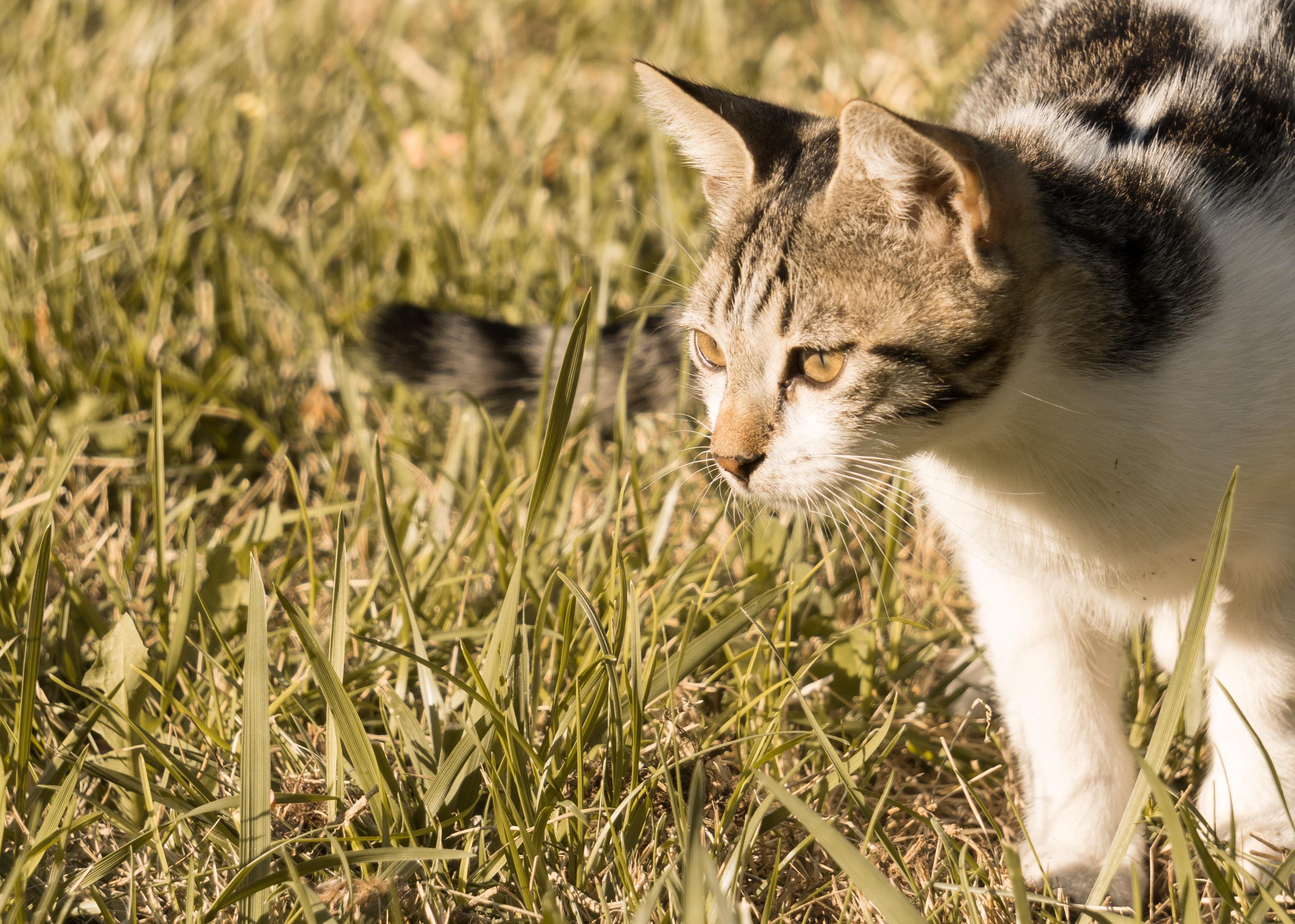 Sony A6000 | 55-210mm | Scrolller