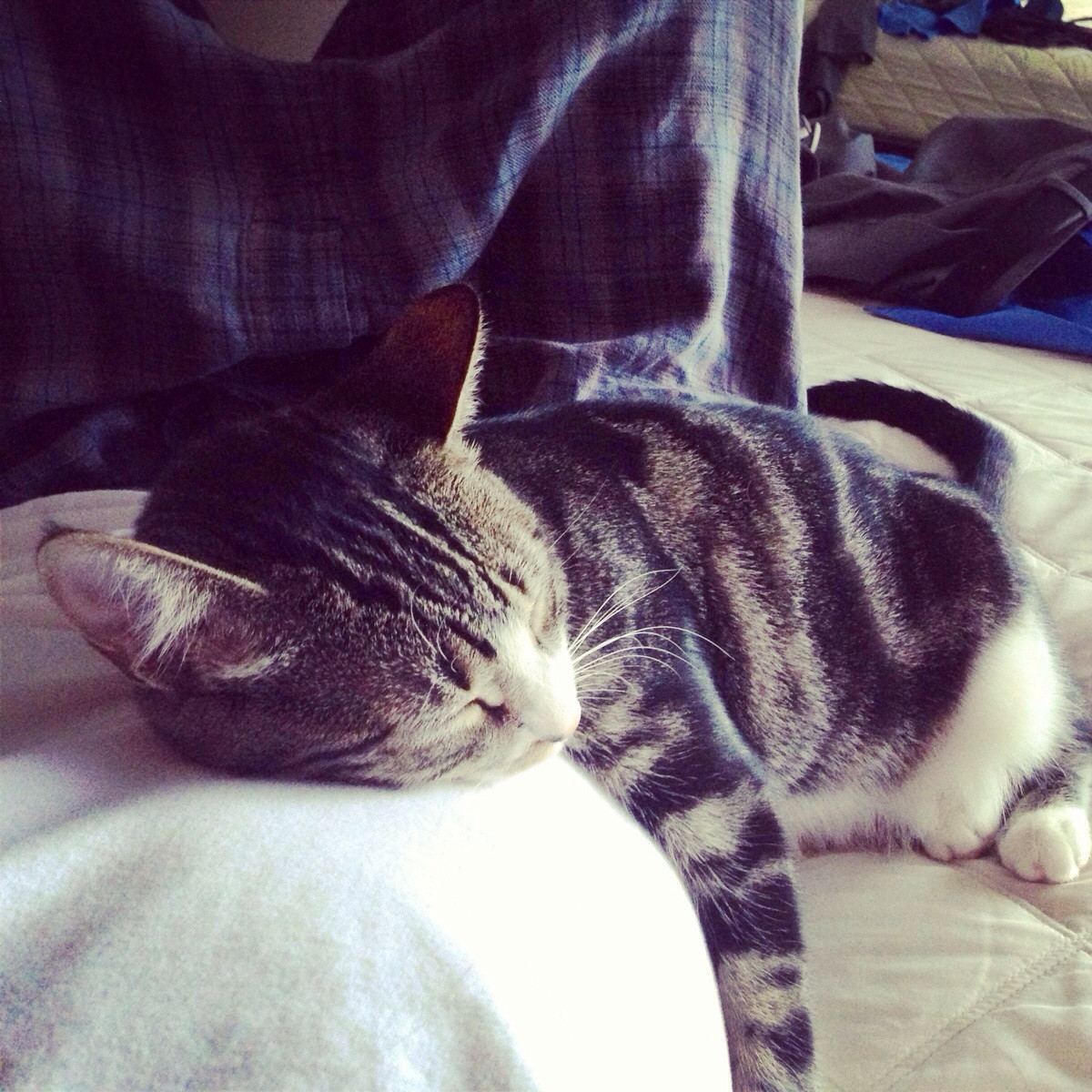 Sooo peaceful | Scrolller