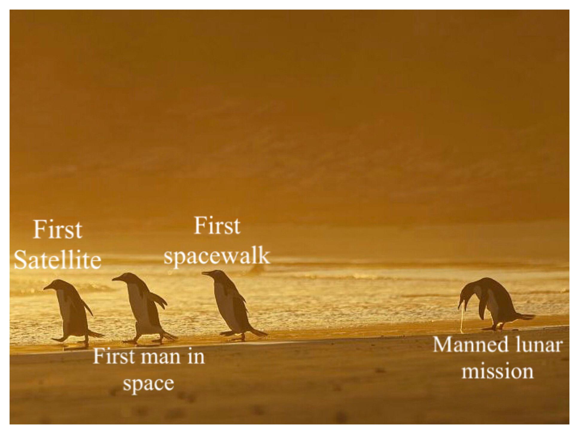 Soviet space program | Scrolller