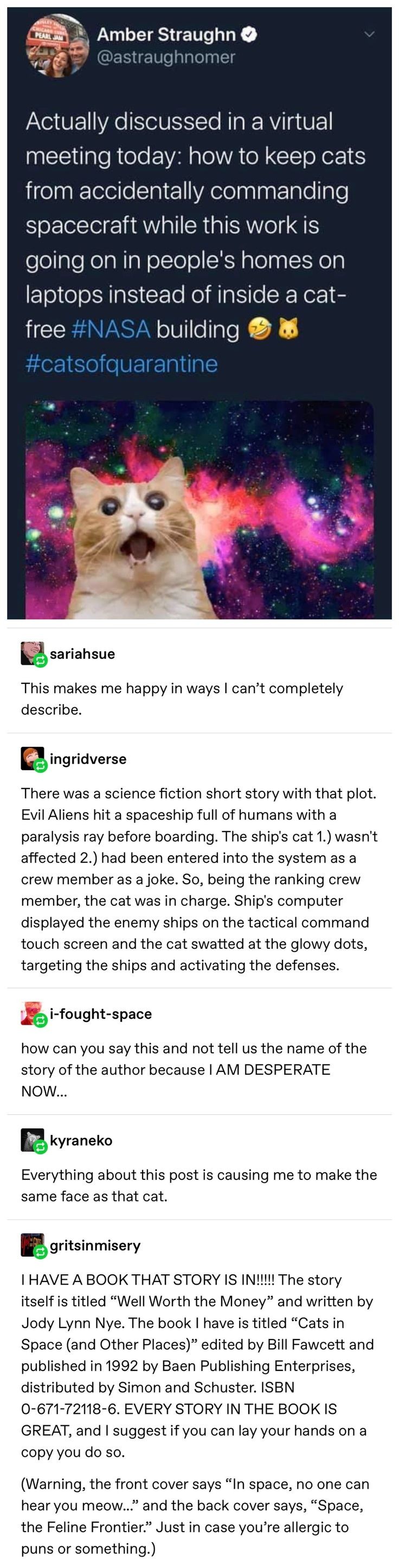 Space cat! | Scrolller