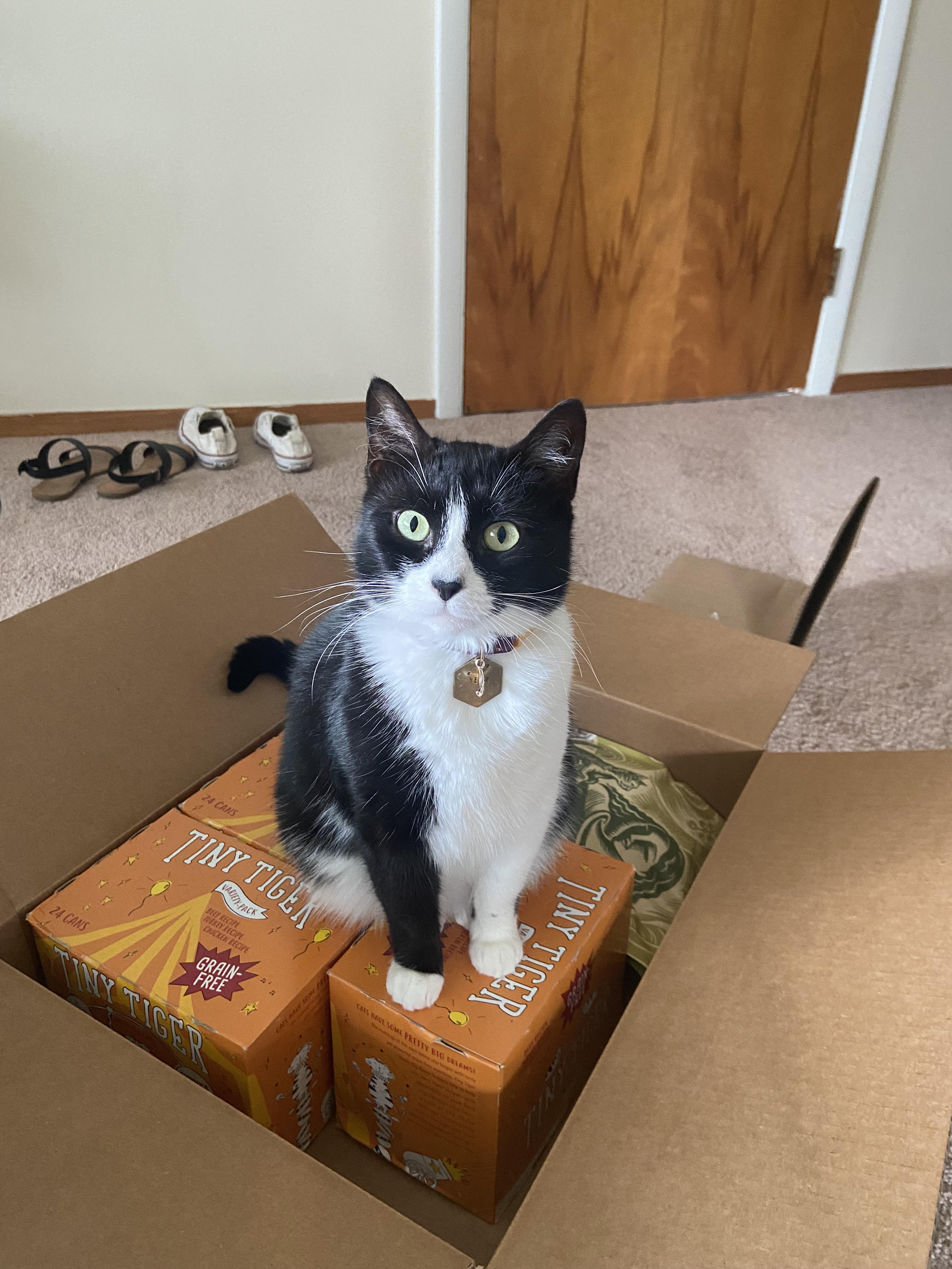 Special delivery | Scrolller