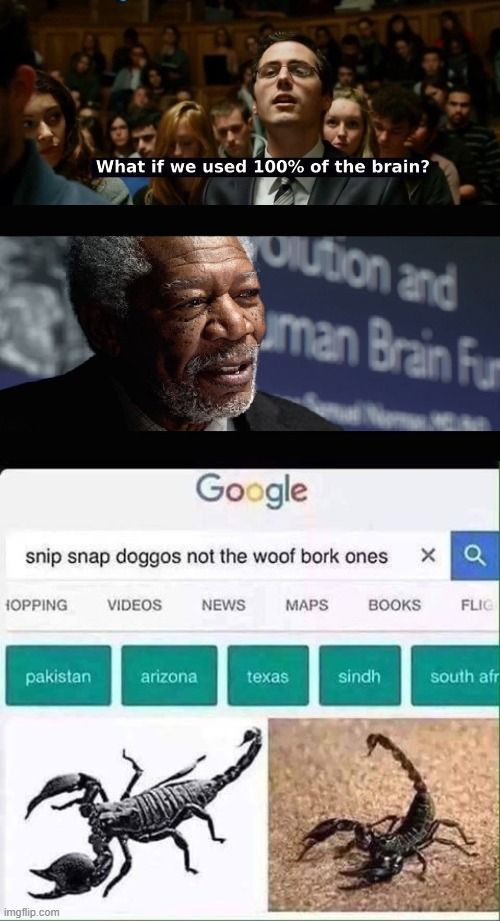 SPEECH 100 | Scrolller