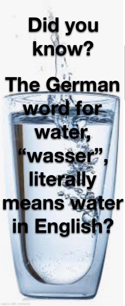 Speech 100 | Scrolller