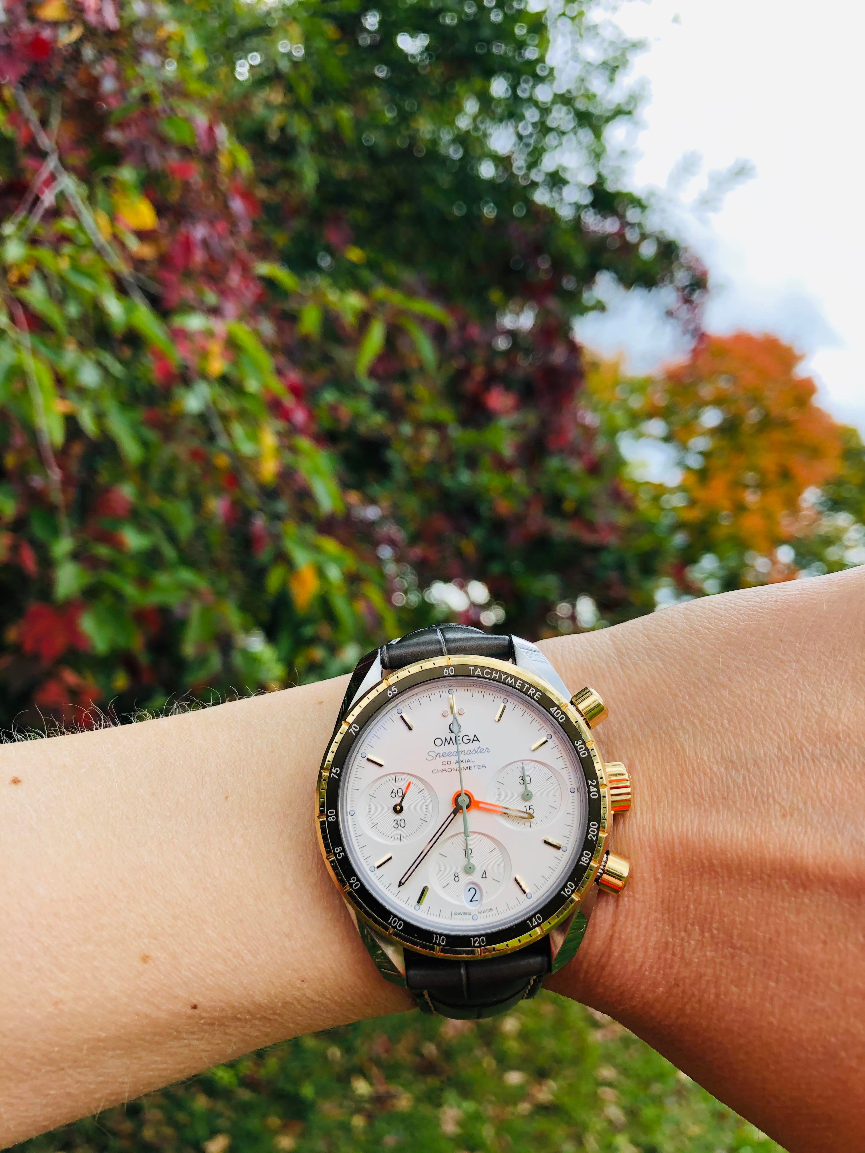 Speedmaster 38mm Fall Colors | Scrolller