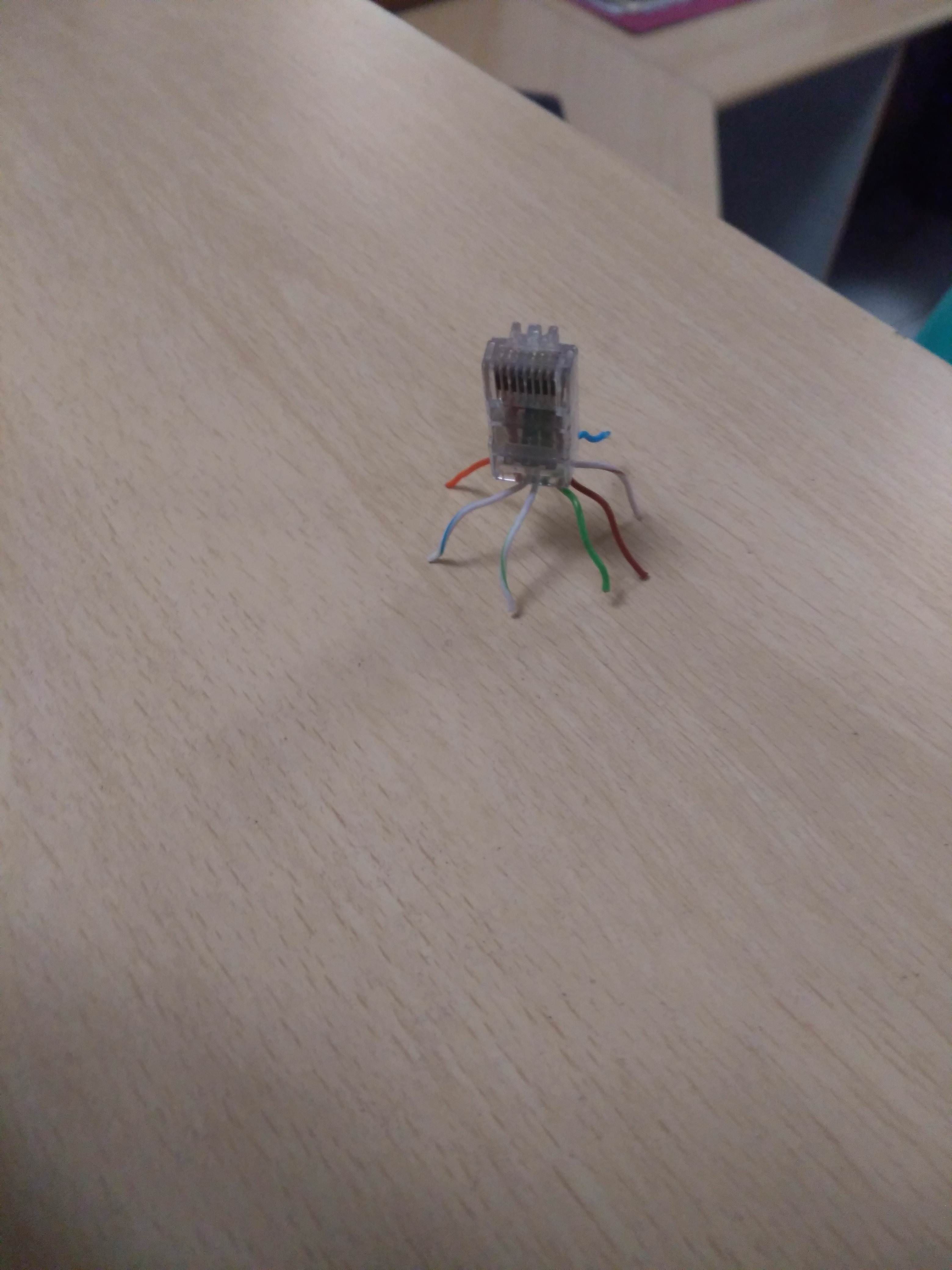 SPICYBOI IRL | Scrolller