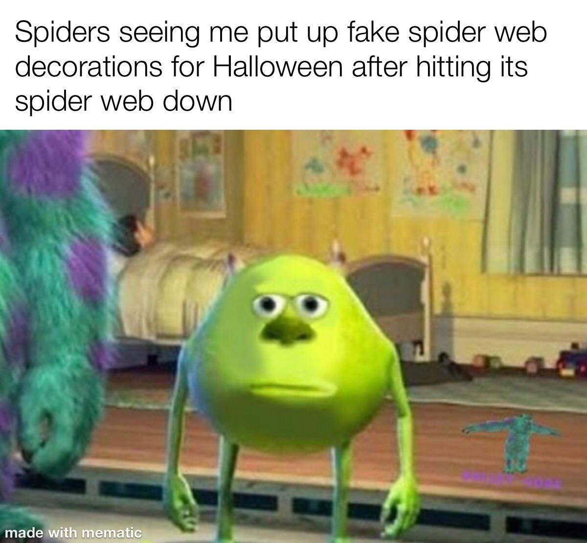 Spider web | Scrolller