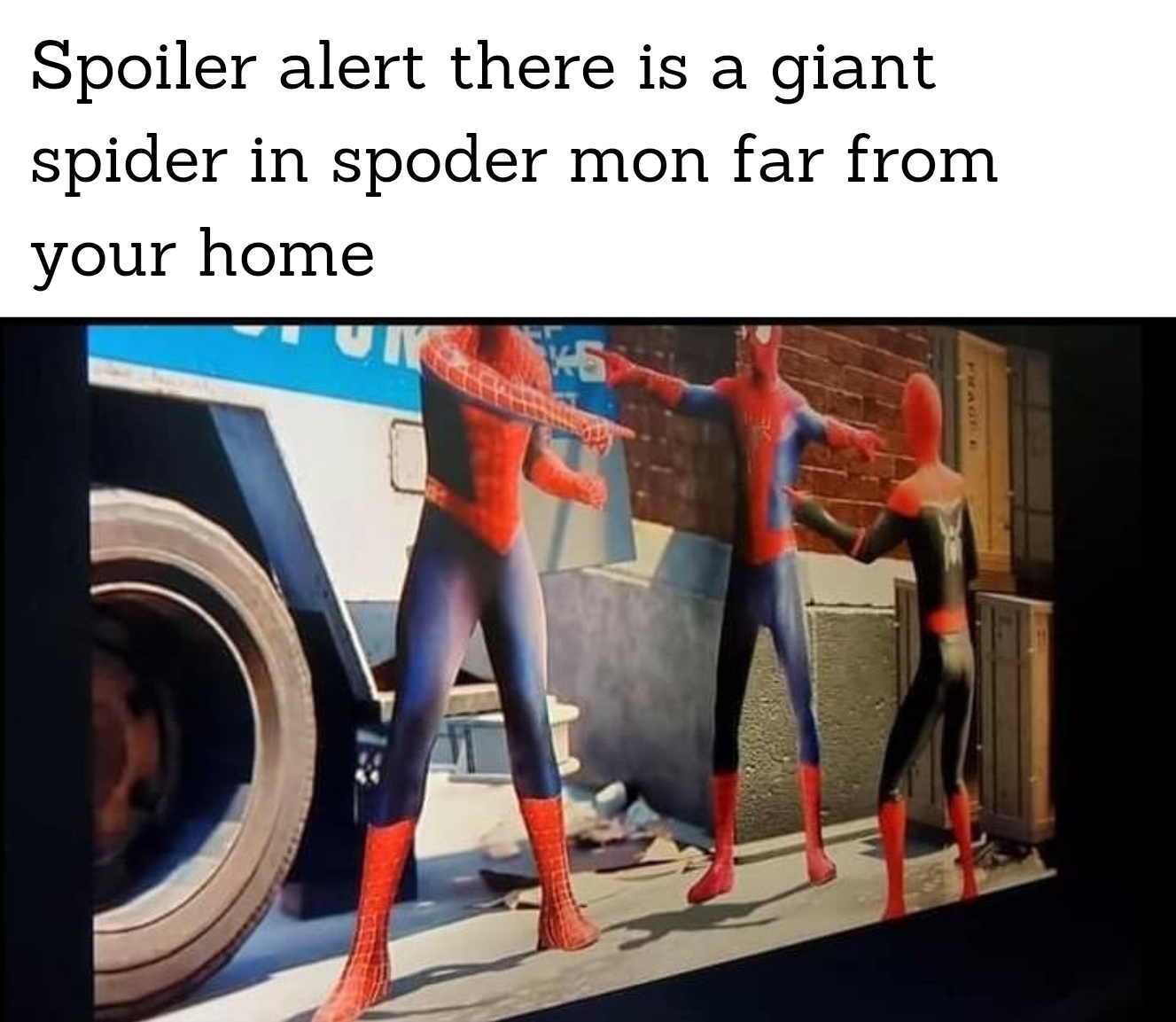 Spoder mon | Scrolller