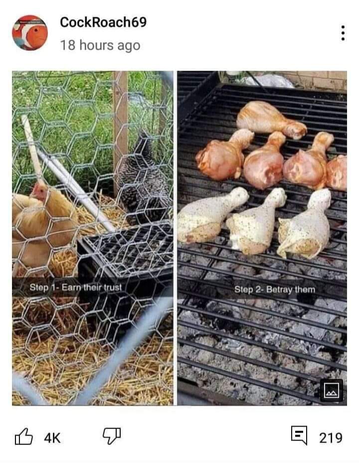 [spoilerless] How TPN works | Scrolller