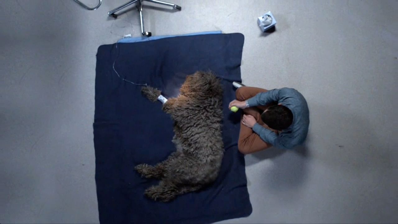 [Spoilers] The feels... | Scrolller