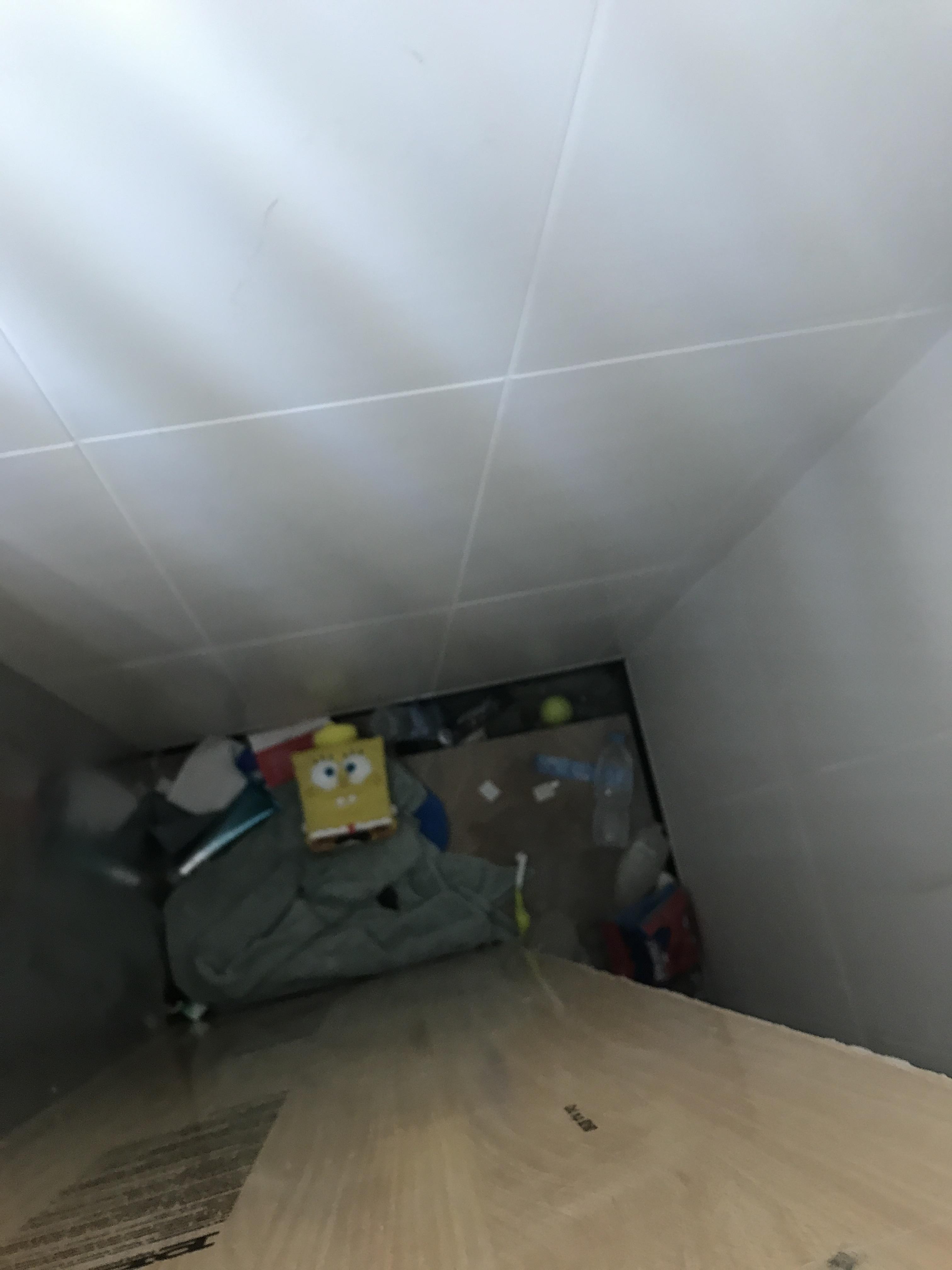 spongebob | Scrolller