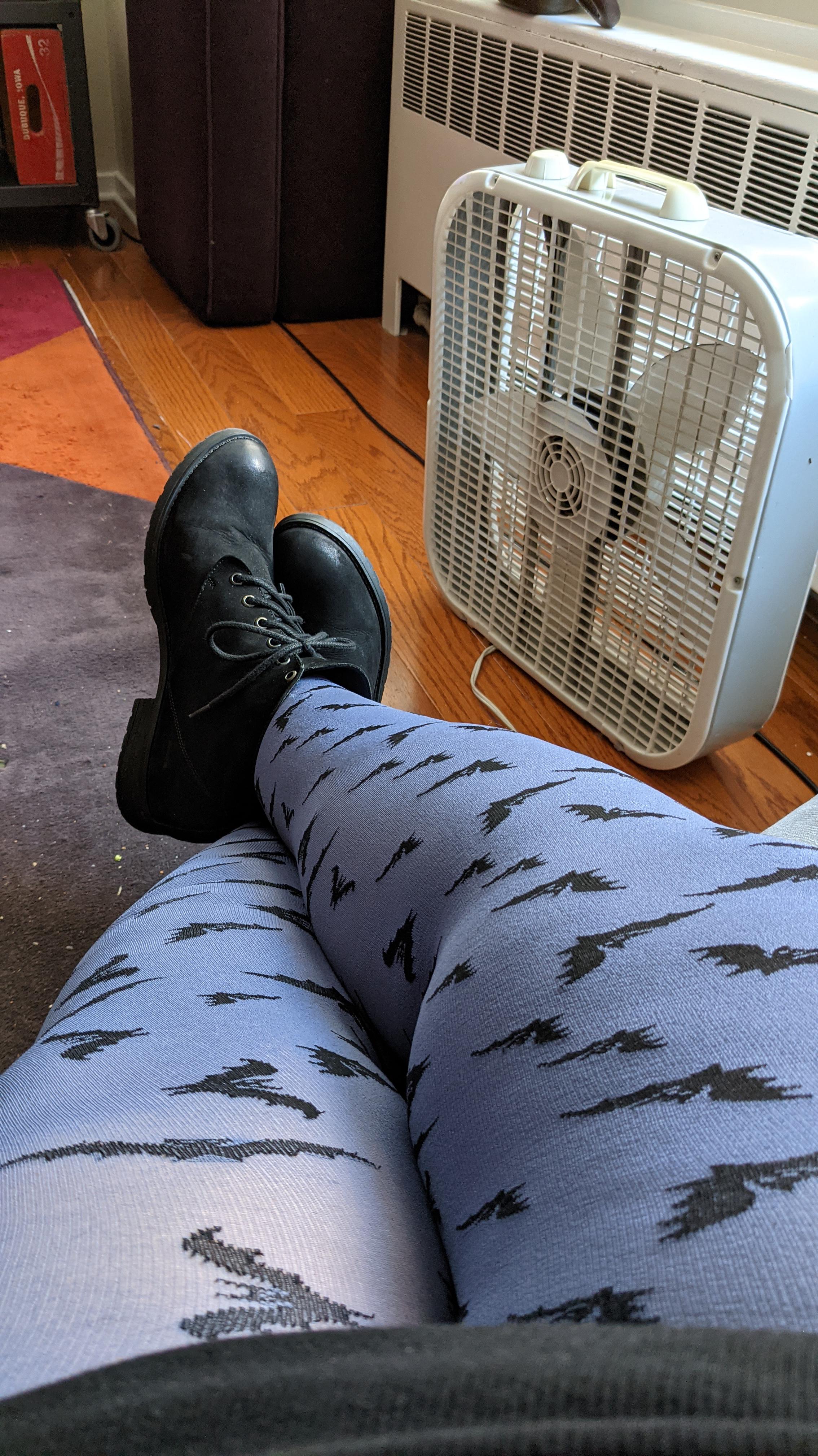 Spooky season, new rights with bats! | Scrolller