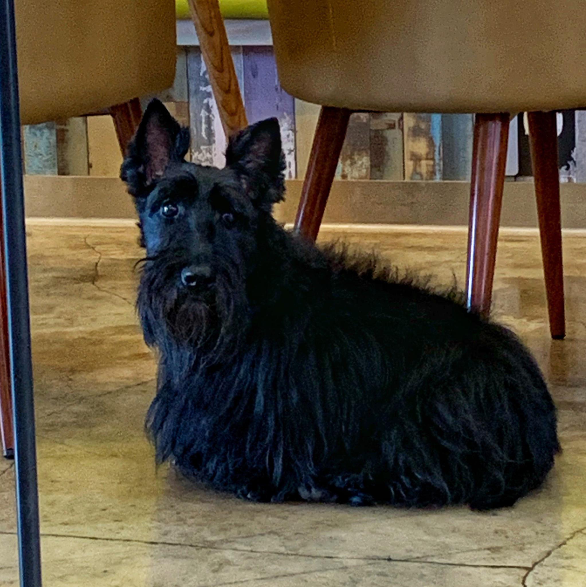 Spotted this Supermodel at a Cafe | Scrolller