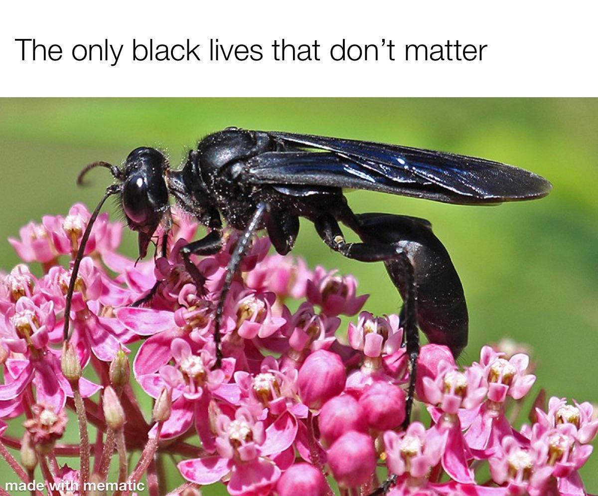 Spray them all | Scrolller