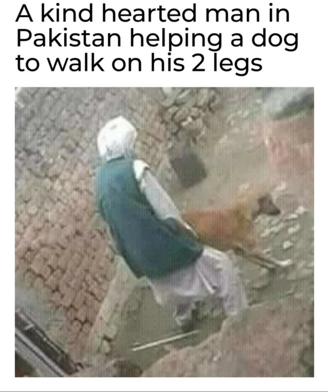 Spread legs, not war | Scrolller