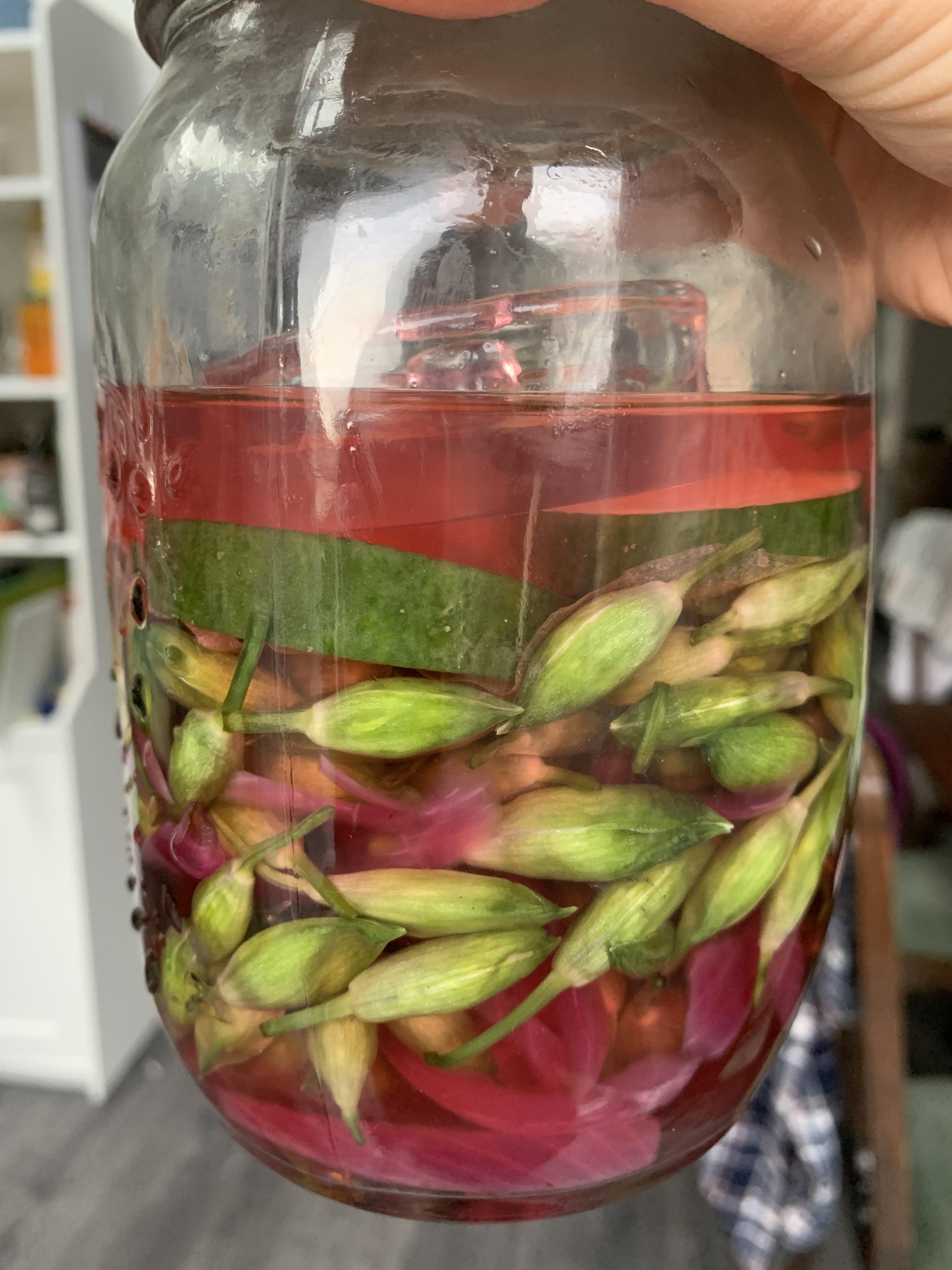Spring experiment! Wild garlic buds and red onion pickle | Scrolller