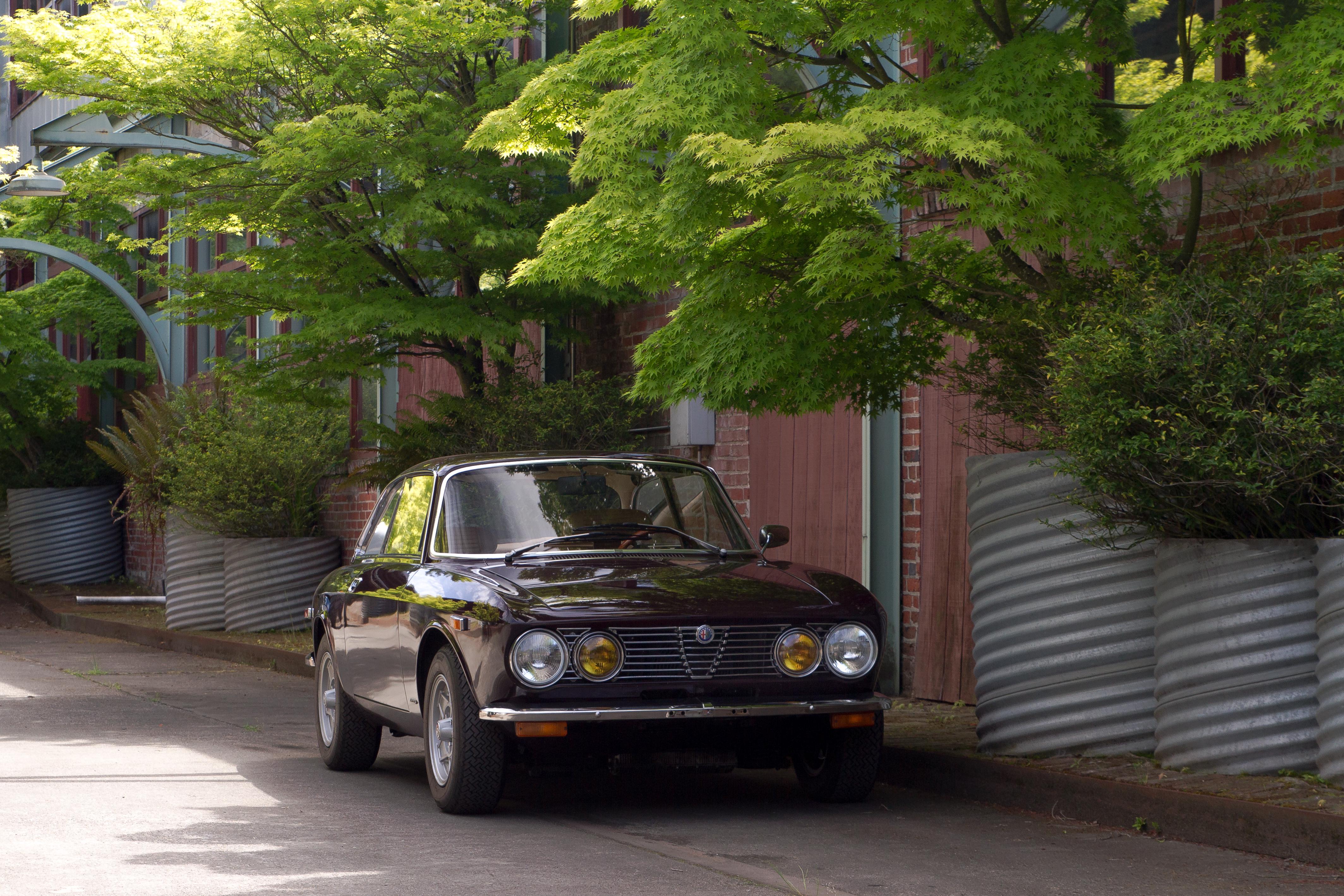 Spring is full swing | Scrolller